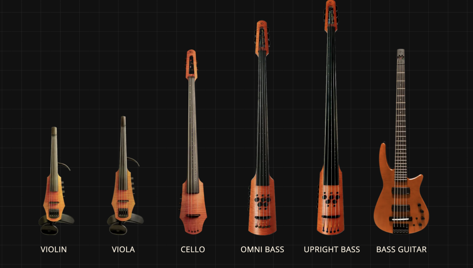 HOME 2025 [www.stringswithoutboundaries.com]