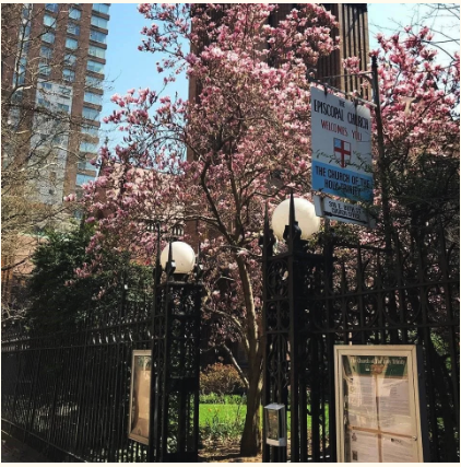 Women in Strings 2026 NYC & BOSTON - Strings WIthout Boundaries